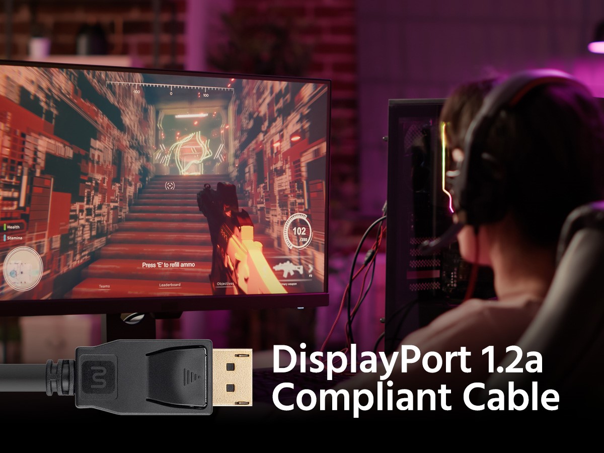 Monoprice Select Series DisplayPort 1.2 Cable, 10ft - Monoprice.com