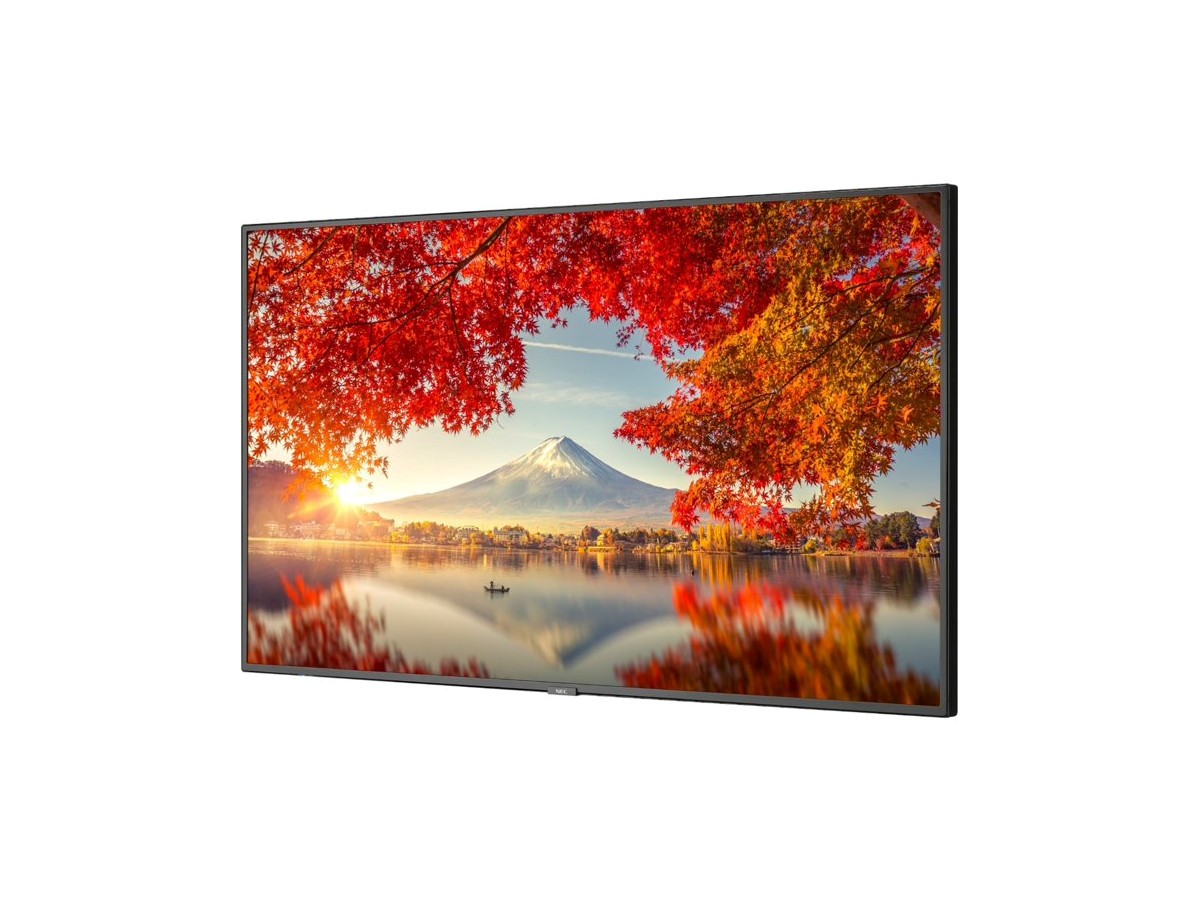 SHARP 55IN MULTISYNC MA551 LED LCD PUBLIC DISPLAY MNTR 3840X2160 UHD - Monoprice.com
